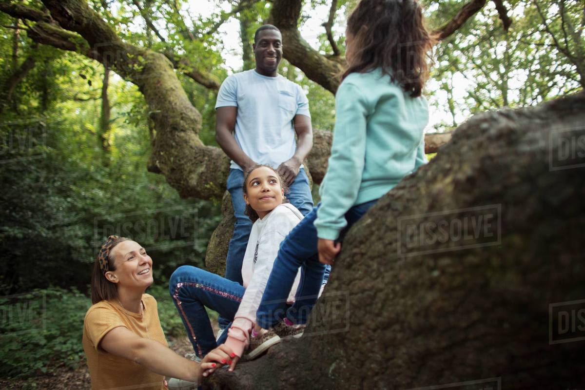 Happy family climbing tree in woods - Royalty-free Stock Photo | Dissolve