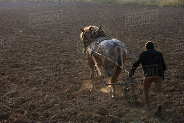 Man with horse-drawn plow - Royalty-free Stock Photo | Dissolve