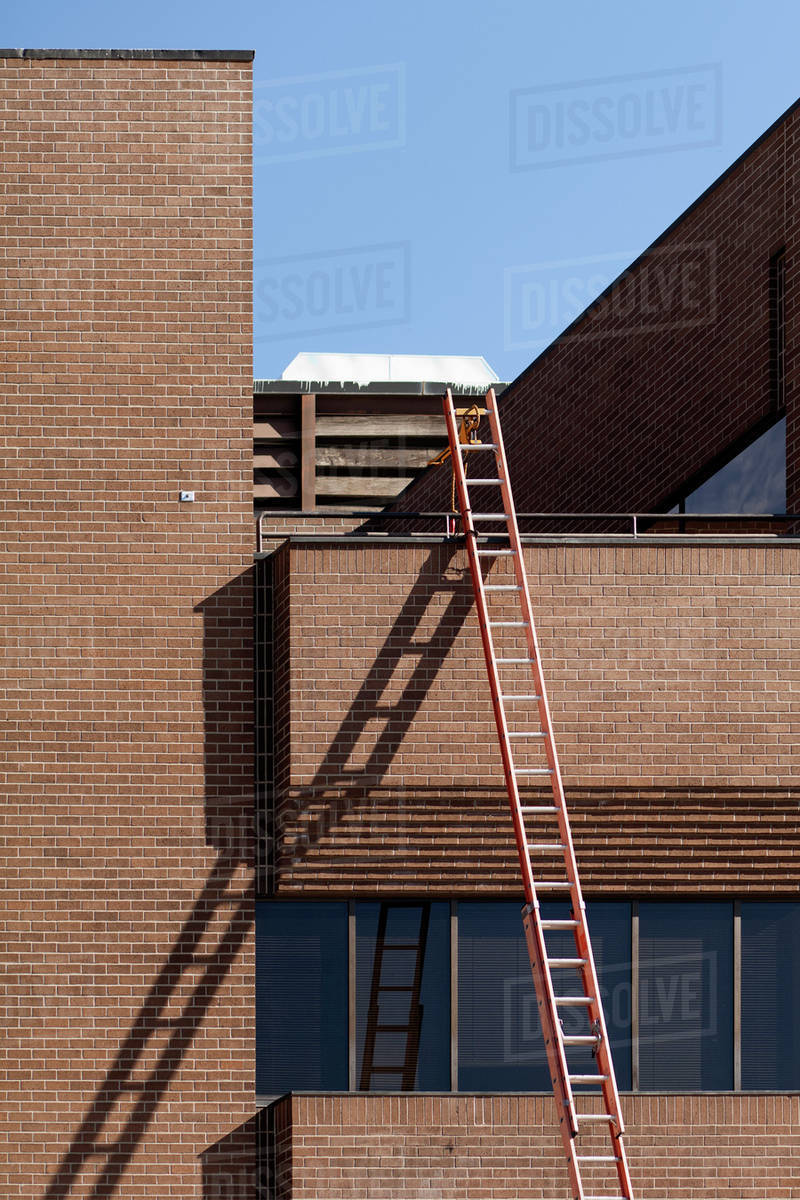A ladder leaning against a building - Stock Photo - Dissolve