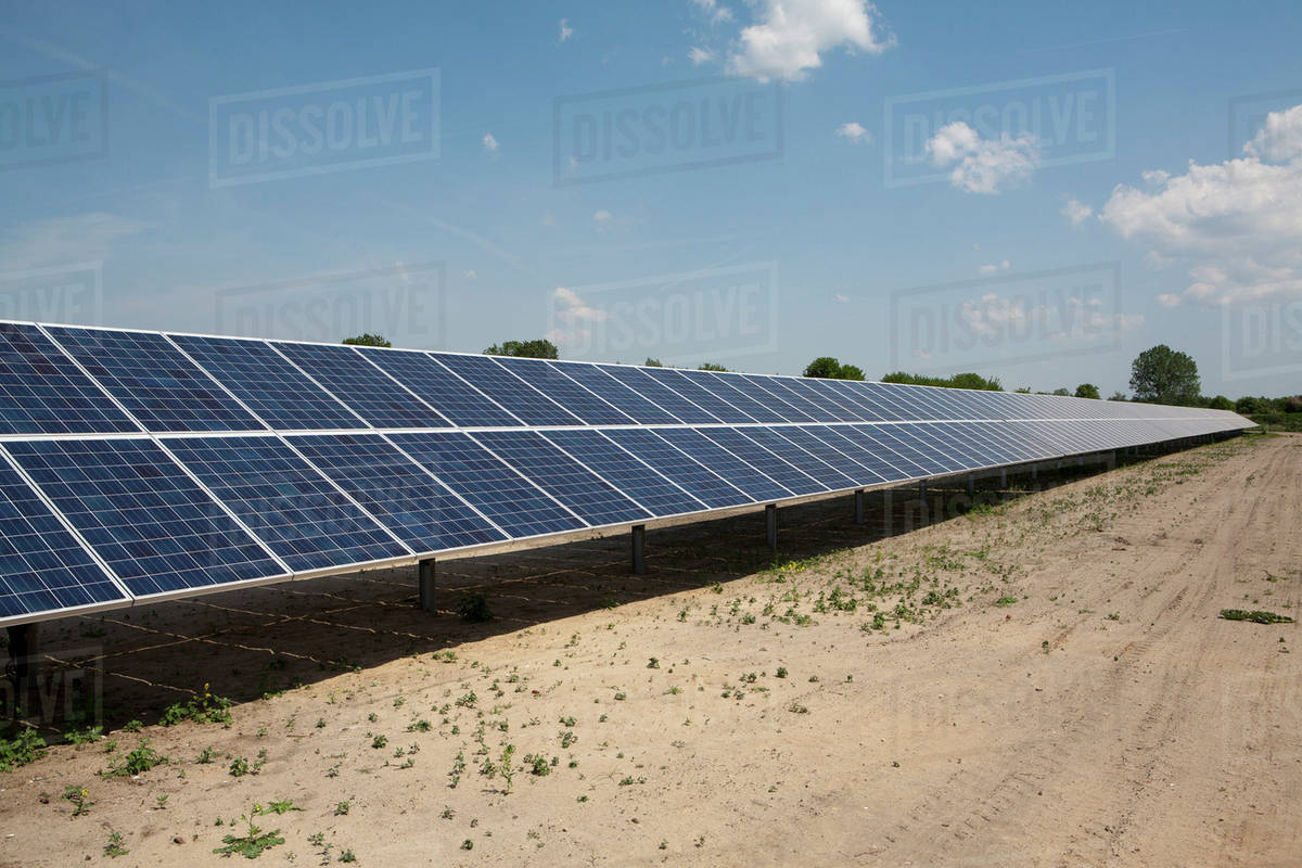 Row of solar panels - Royalty-free Stock Photo | Dissolve