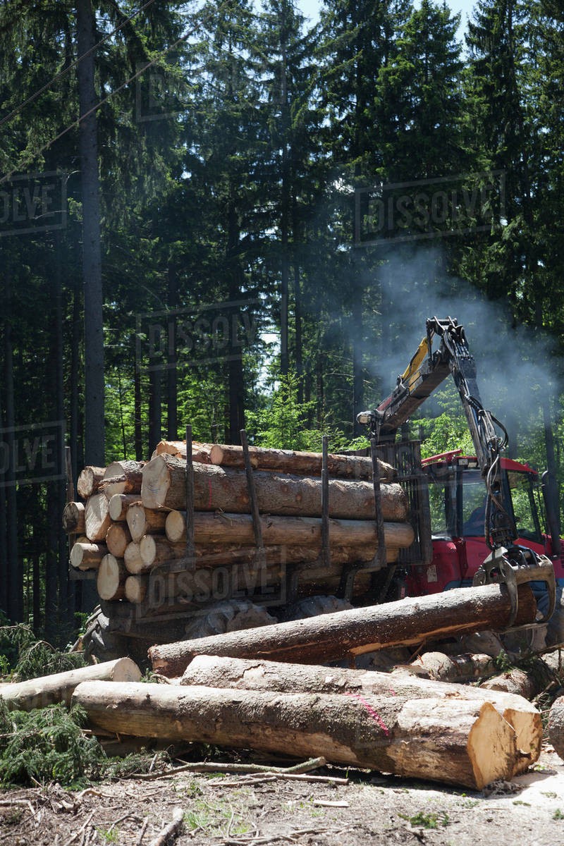 Logs loading in commercial land vehicle - Royalty-free Stock Photo ...