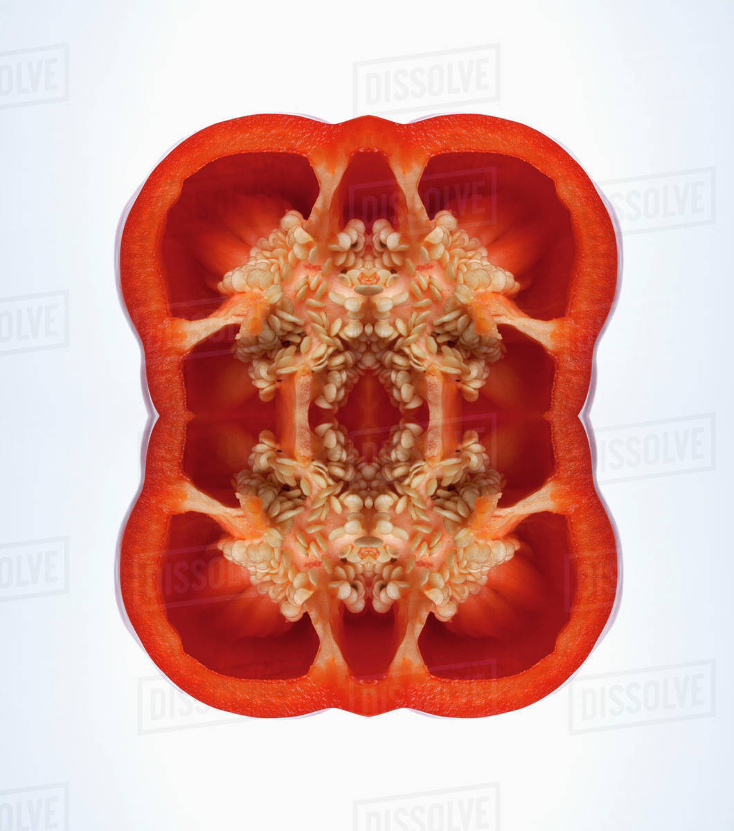 A digital composite of mirrored images of cross sections of red bell ...