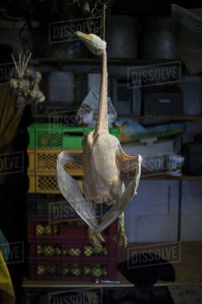 Dead goose hanging in butcher's shop - Royalty-free Stock Photo | Dissolve