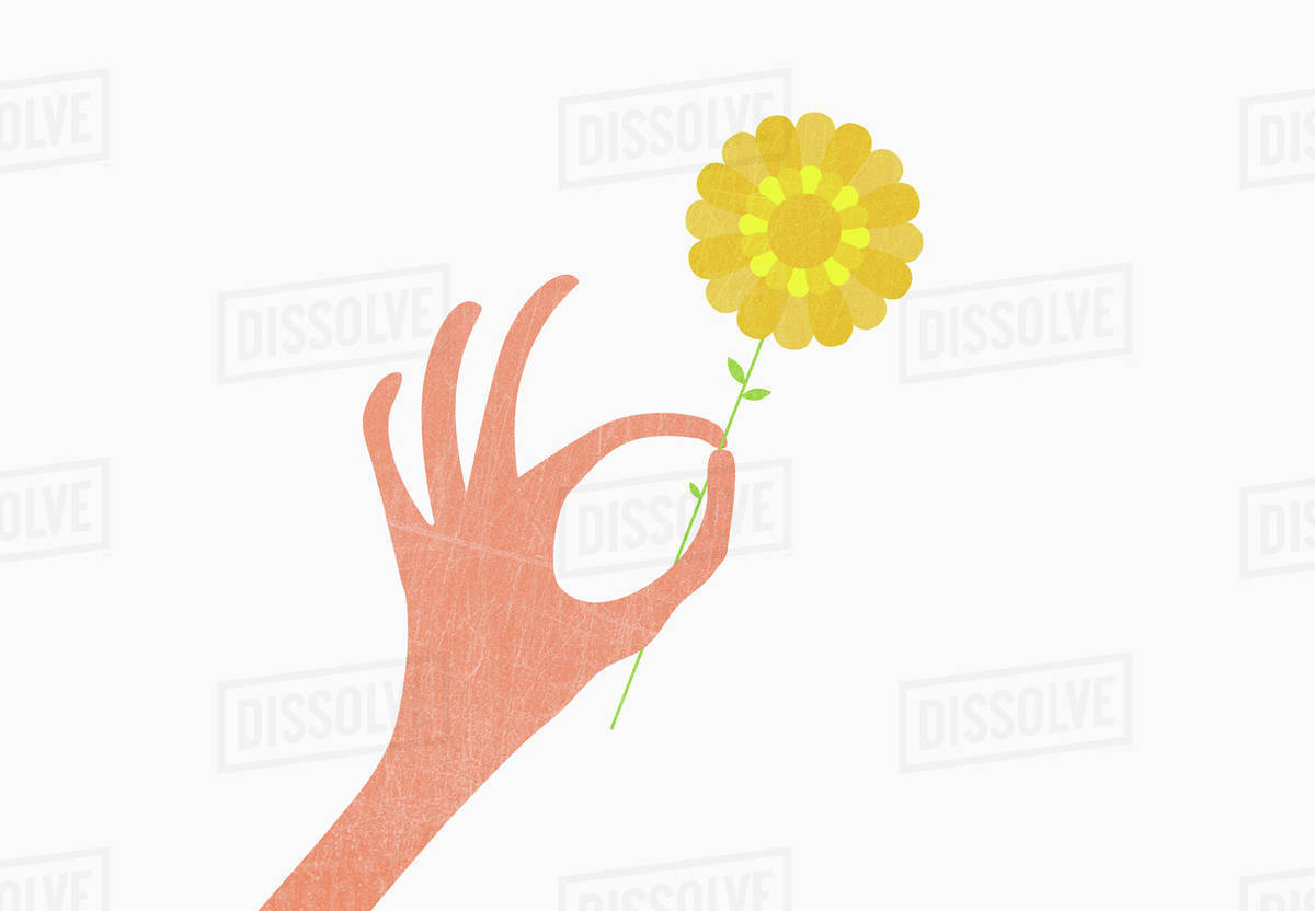 Hand holding yellow against white background - Stock Photo - Dissolve