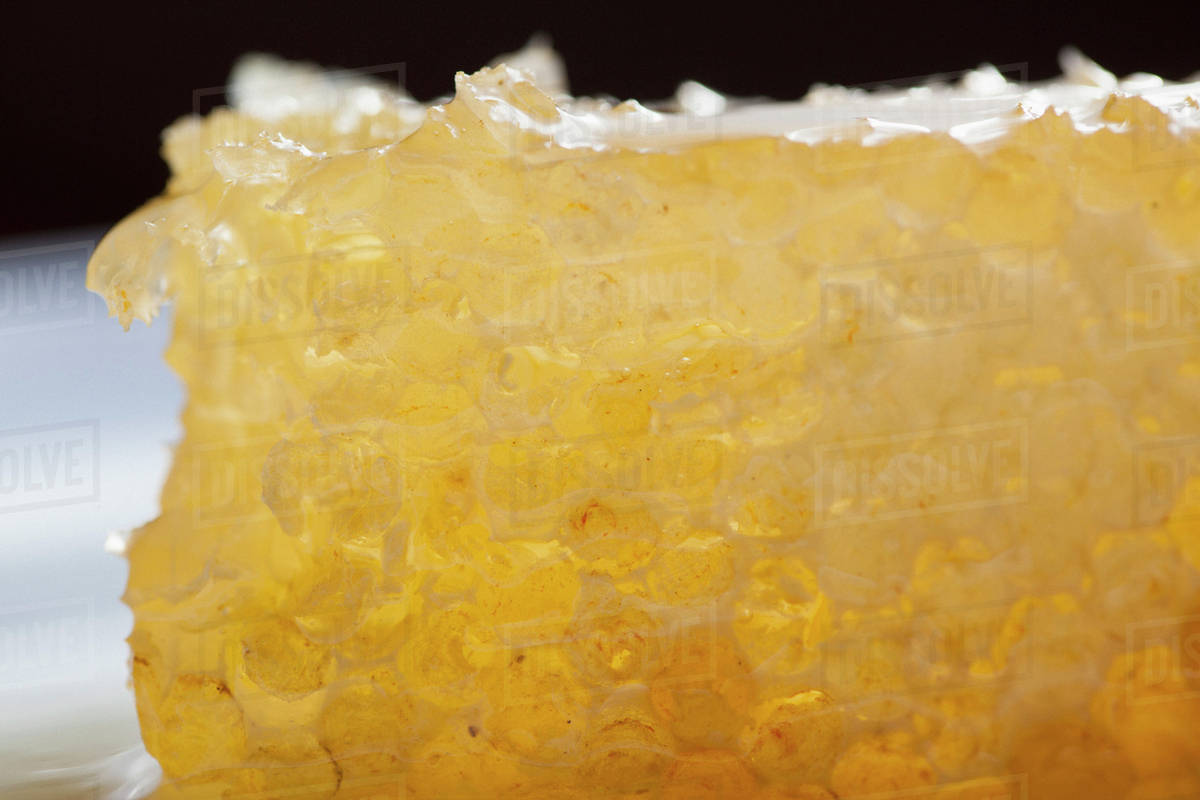 Close-up of honeycomb - Stock Photo - Dissolve
