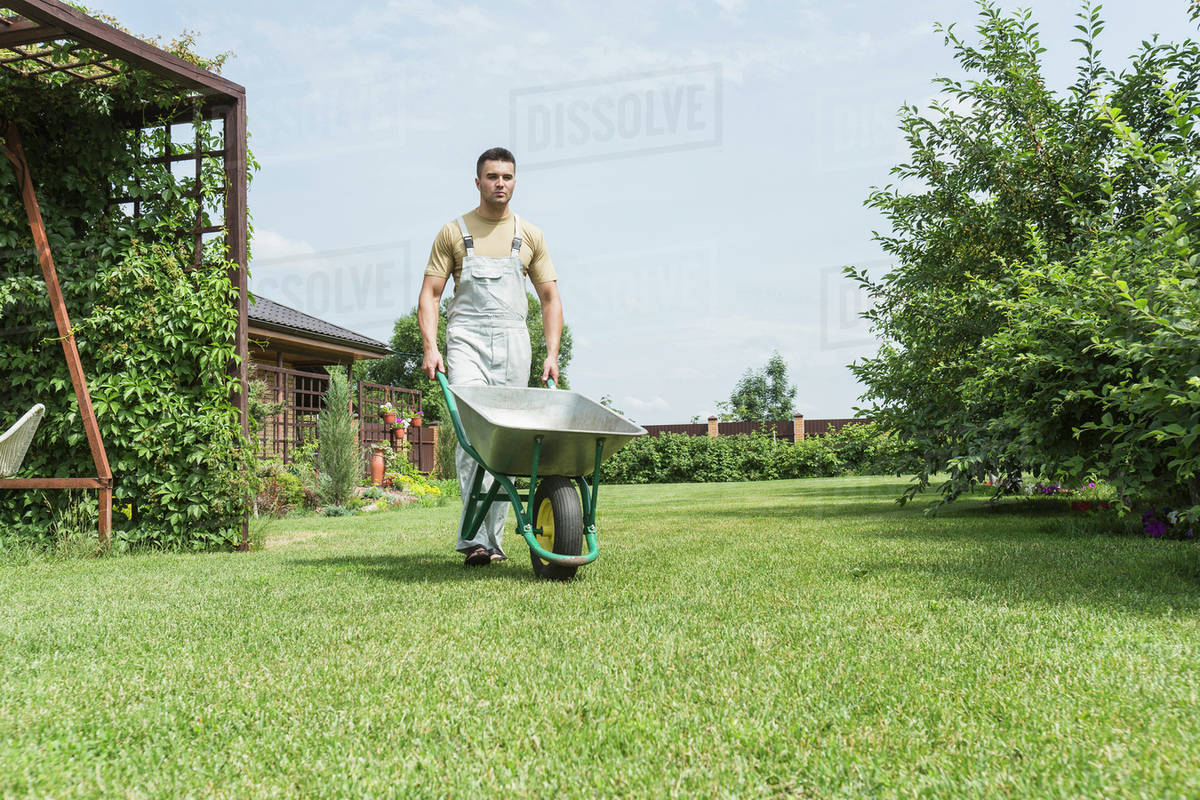 Young man walking with wheelbarrow in backyard - Royalty-free Stock ...