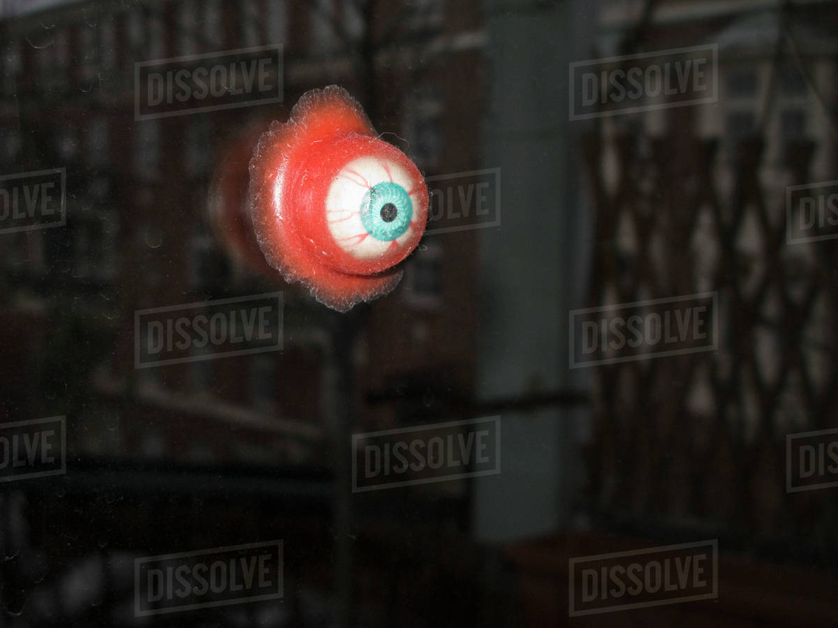 A rubber eyeball stuck on a window - Stock Photo - Dissolve