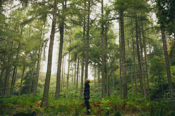 Side view of woman standing in forest - Royalty-free Stock Photo | Dissolve