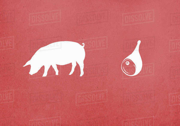 Pig and pork meat on red background - Royalty-free Stock Photo | Dissolve
