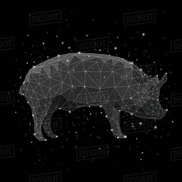 Composite image of constellation forming pig against black background ...