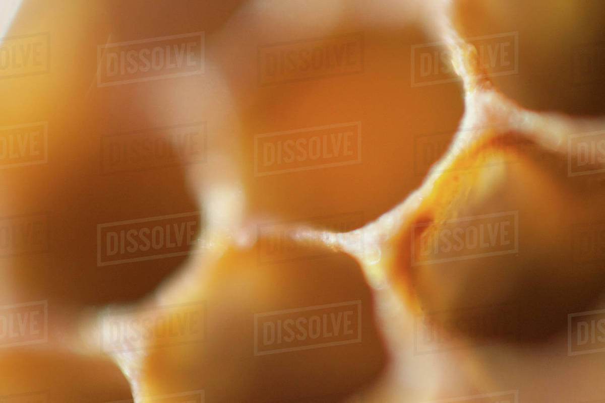 Extreme close-up of honeycomb - Royalty-free Stock Photo | Dissolve