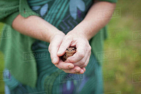 Midsection of man holding frog at park - Stock Photo - Dissolve