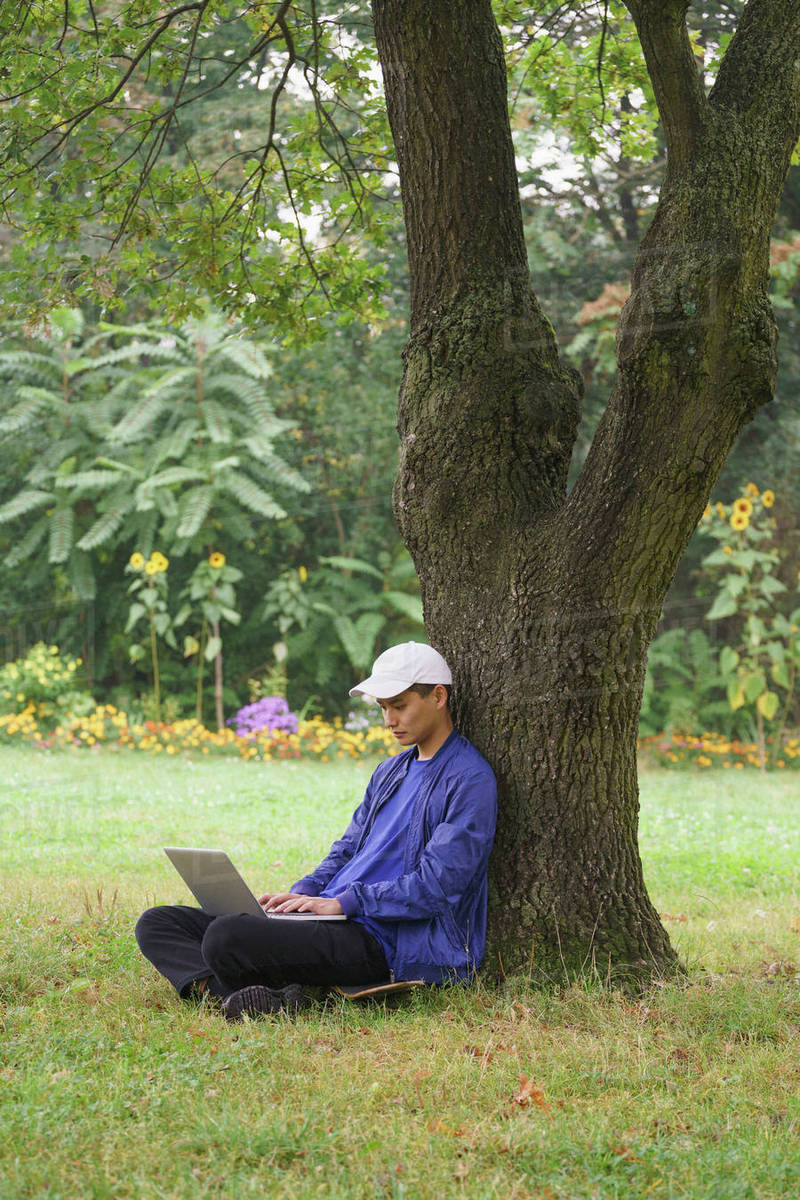 Full length of man using laptop while sitting by tree on grassy field ...