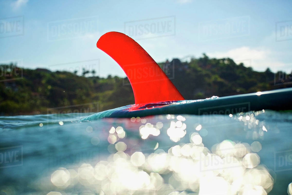 Bright red fin on surfboard floating on sunny ocean - Royalty-free ...
