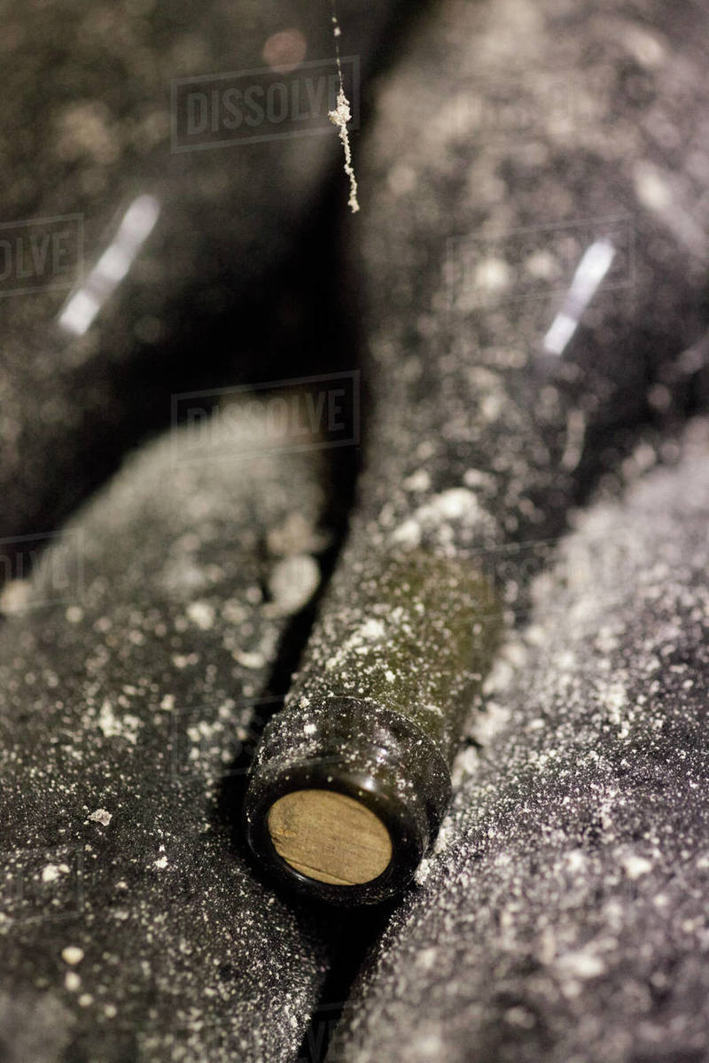 Close up dust forming on bottles of wine - Royalty-free Stock Photo ...