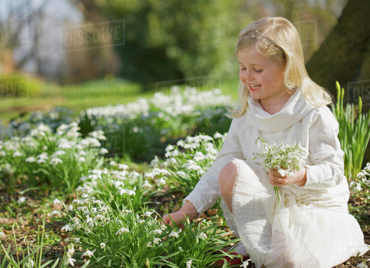 Portrait of a smiling young girl picking snowdrops - Stock Photo - Dissolve